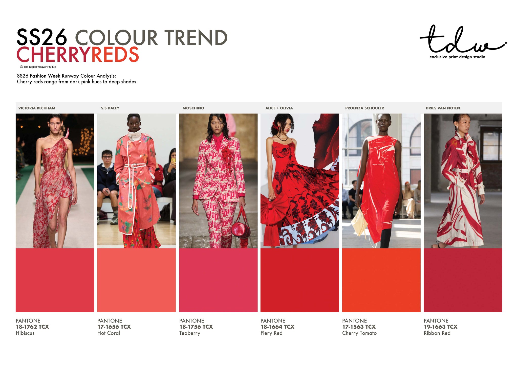 SS26 COLOUR TREND Cherry Reds A3 Trend Board Digital File – The Digital ...